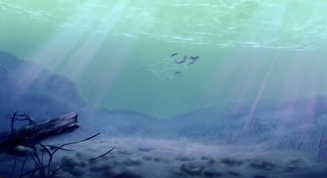 Videos – Jack Sanders Studios